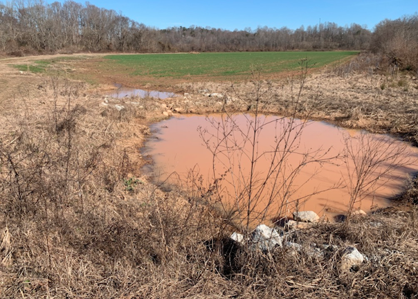 Save Our Saluda - Ag Demo Site
